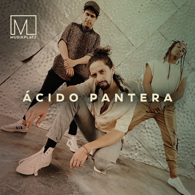 Sonido campechano by Ácido Pantera - MusikPlatz | Musikplatz